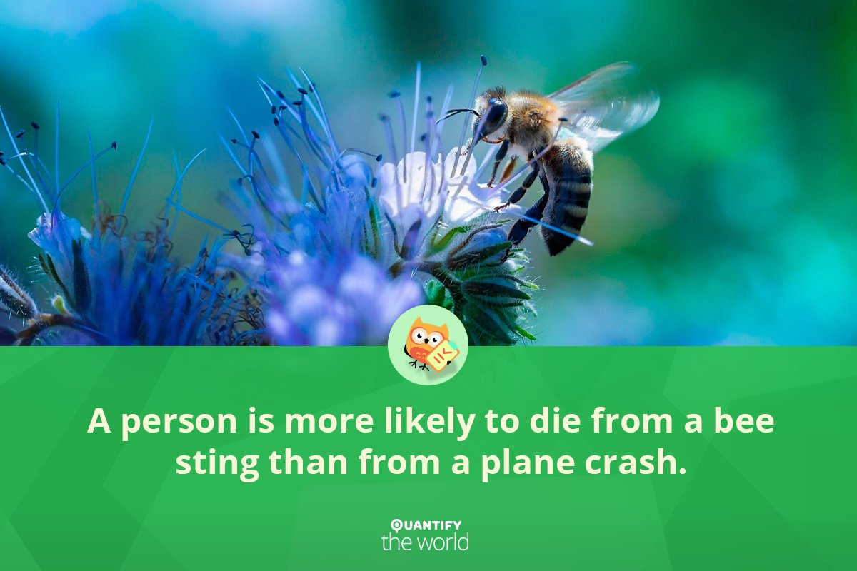 Quantify the World (@QuantifyWorld) | Twitter