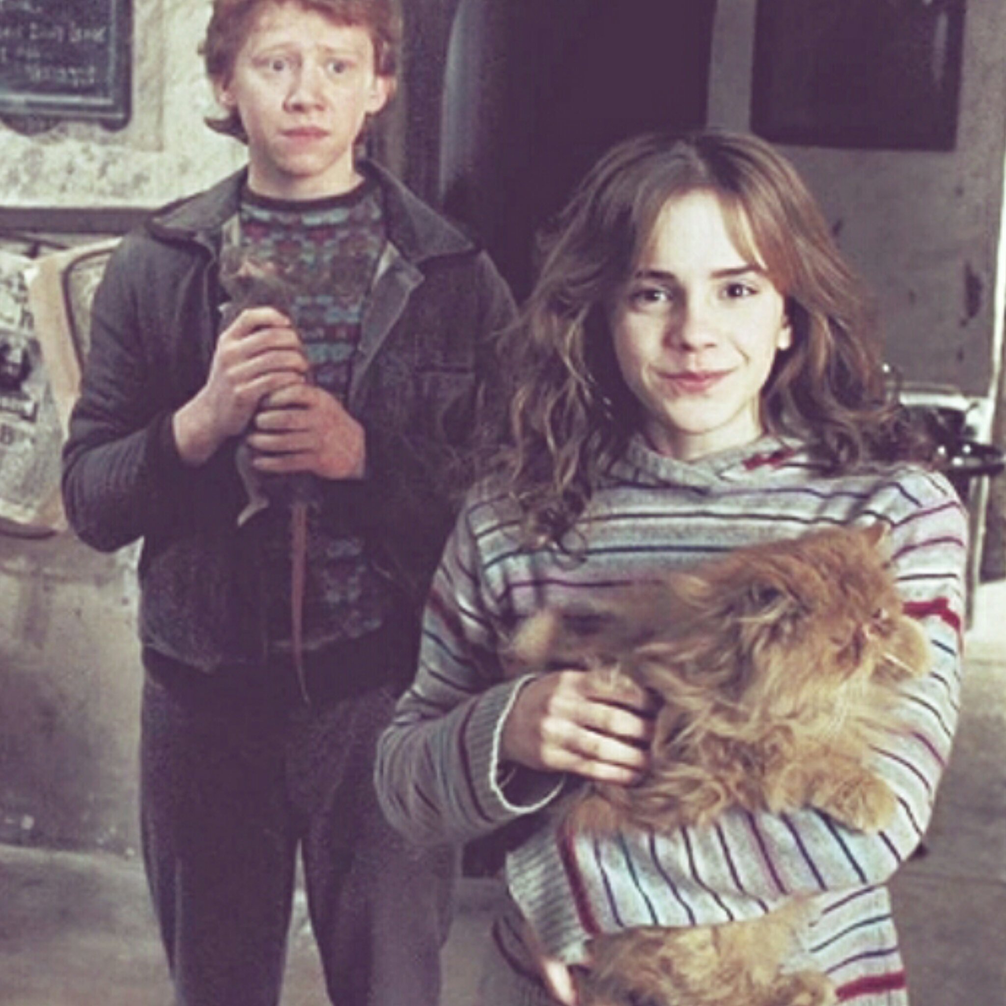 Crookshanks And Scabbers