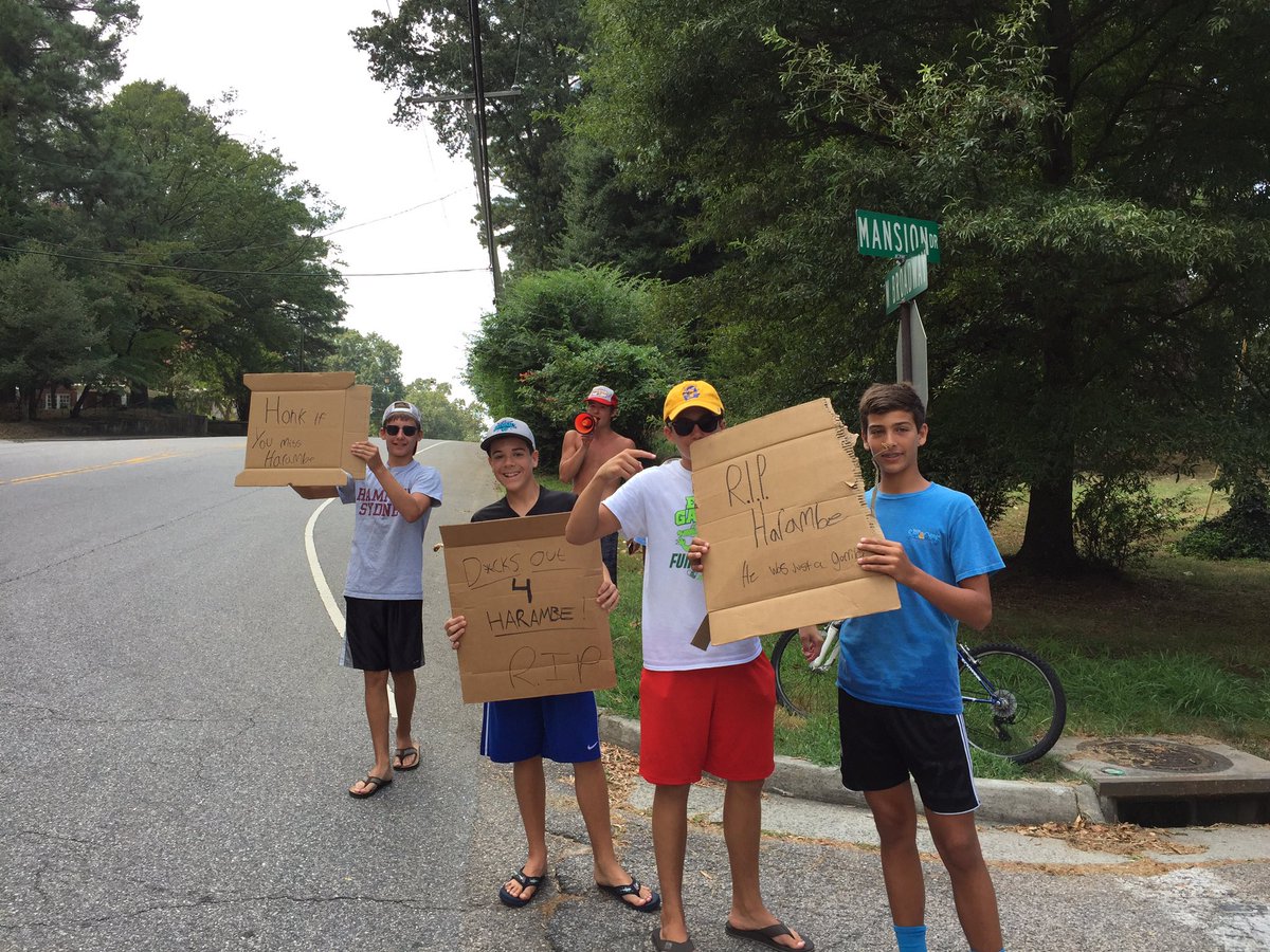 Evan Reber (@evan_reber) | Twitter