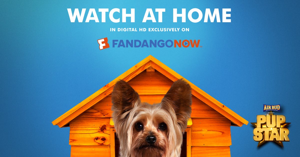 Pup Star 2 streaming with english subtitles in 1440 - coolgfile