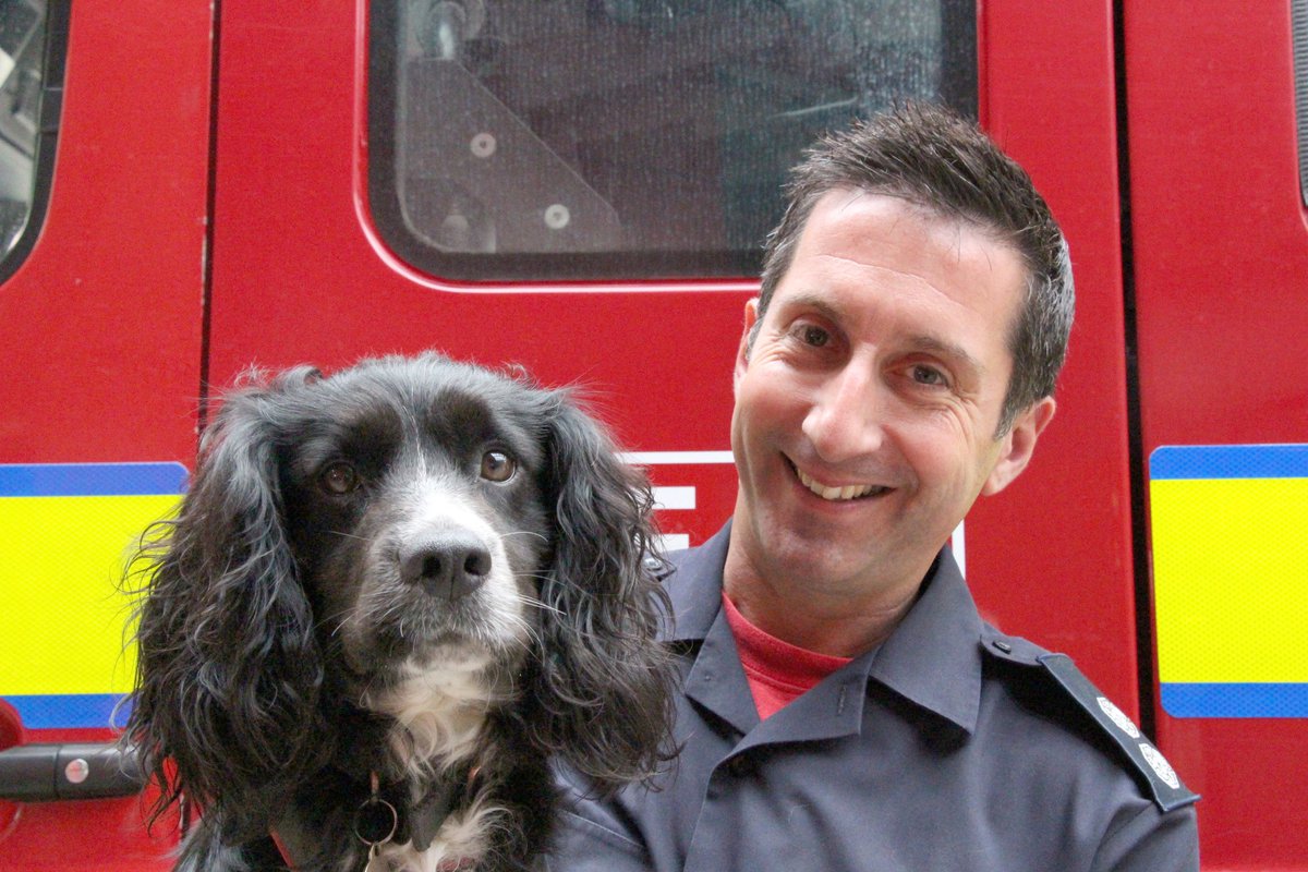 Fire investigation dog Sherlock was 4 ThisWeek. He helps put arsonists ...