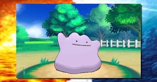 Ditto Transform