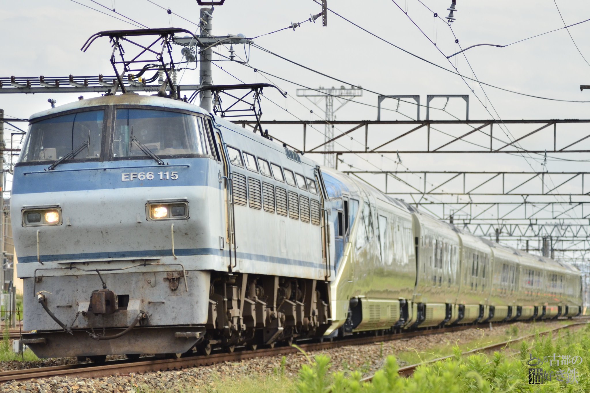 Omiya. on Twitter: "9.6 EF66-115＋トランスイート四季島 甲種輸送 9866レ＠桂川付近・京都駅付近 京都タワーと共に https://t.co ...