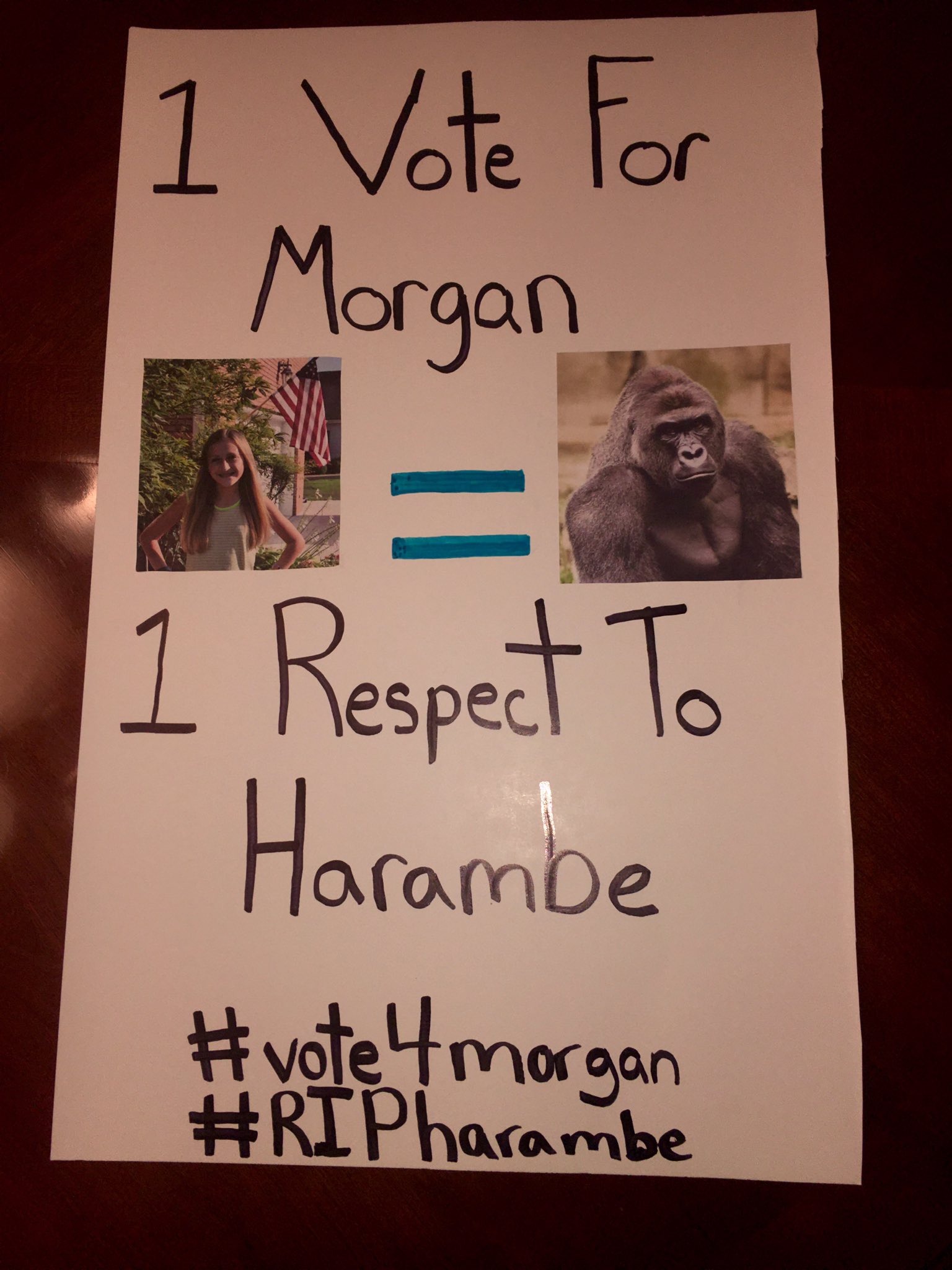 Funny Campaign Posters For Student Council