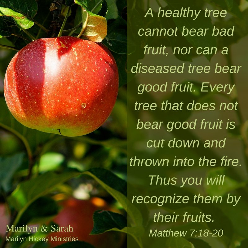 Fruit Trees - Home Gardening Apple, Cherry, Pear, Plum: A Bad Tree Will ...