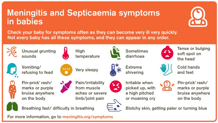 Meningococcal disease may be rare, but it can develop rapidly. Know the ...
