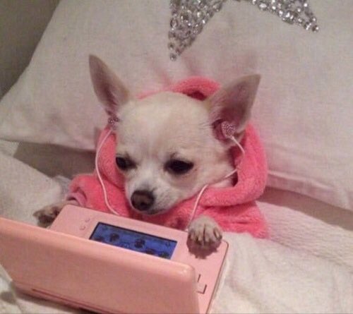 Easycore Memes Vintage NEW FOUND GLORY Punk Rock Band Coral Springs