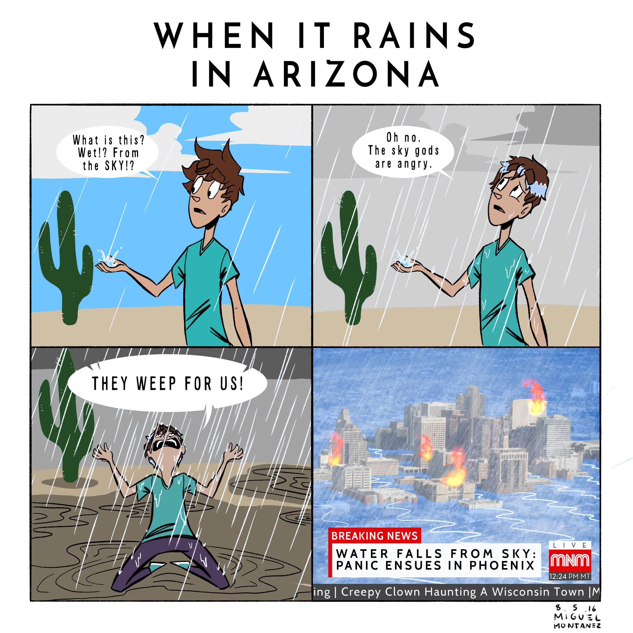 Phoenix Rain Memes Yes Imgflip