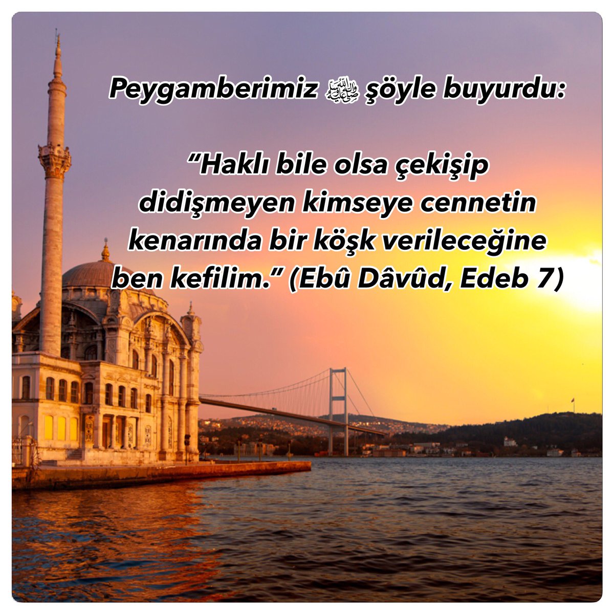elif arda (@naifhayat) | Twitter