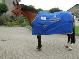 Equicare-Plus (@EquicarePlus) | Twitter