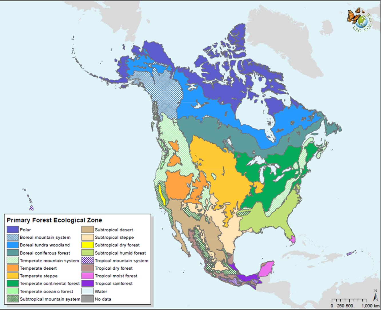 Coniferous Forest Map