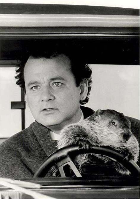 Bill Murray and Punxsutawney Phil, 1992 | NotableHistory | Scoopnest