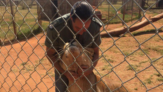 Lion Man Craig Busch hits back at animal abuse allegations | Stuff ...