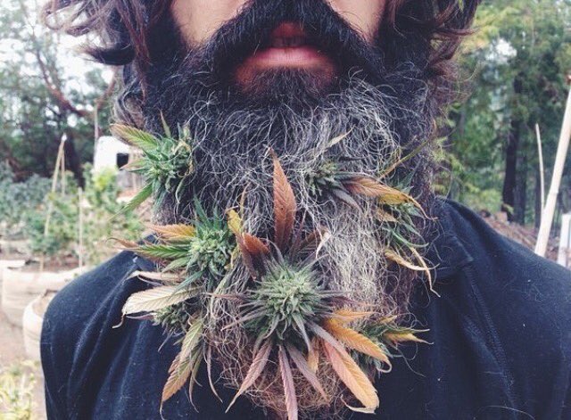 Beards vs Weed : r/AirForce