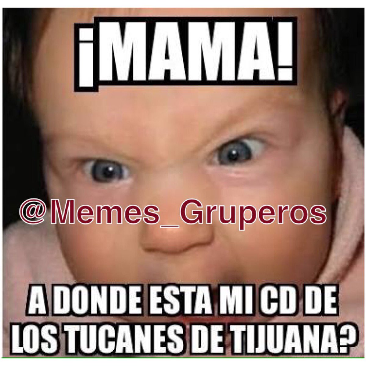 Los Tucanes Memes Tucan Memes & GIFs Imgflip