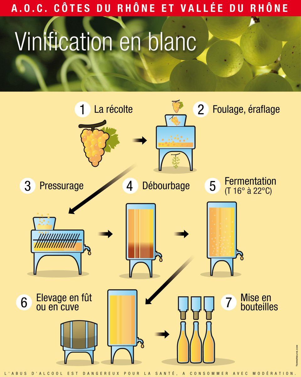 Sélections Oeno on Twitter: "Impressionnez vos convives en expliquant les étapes de vinification ...