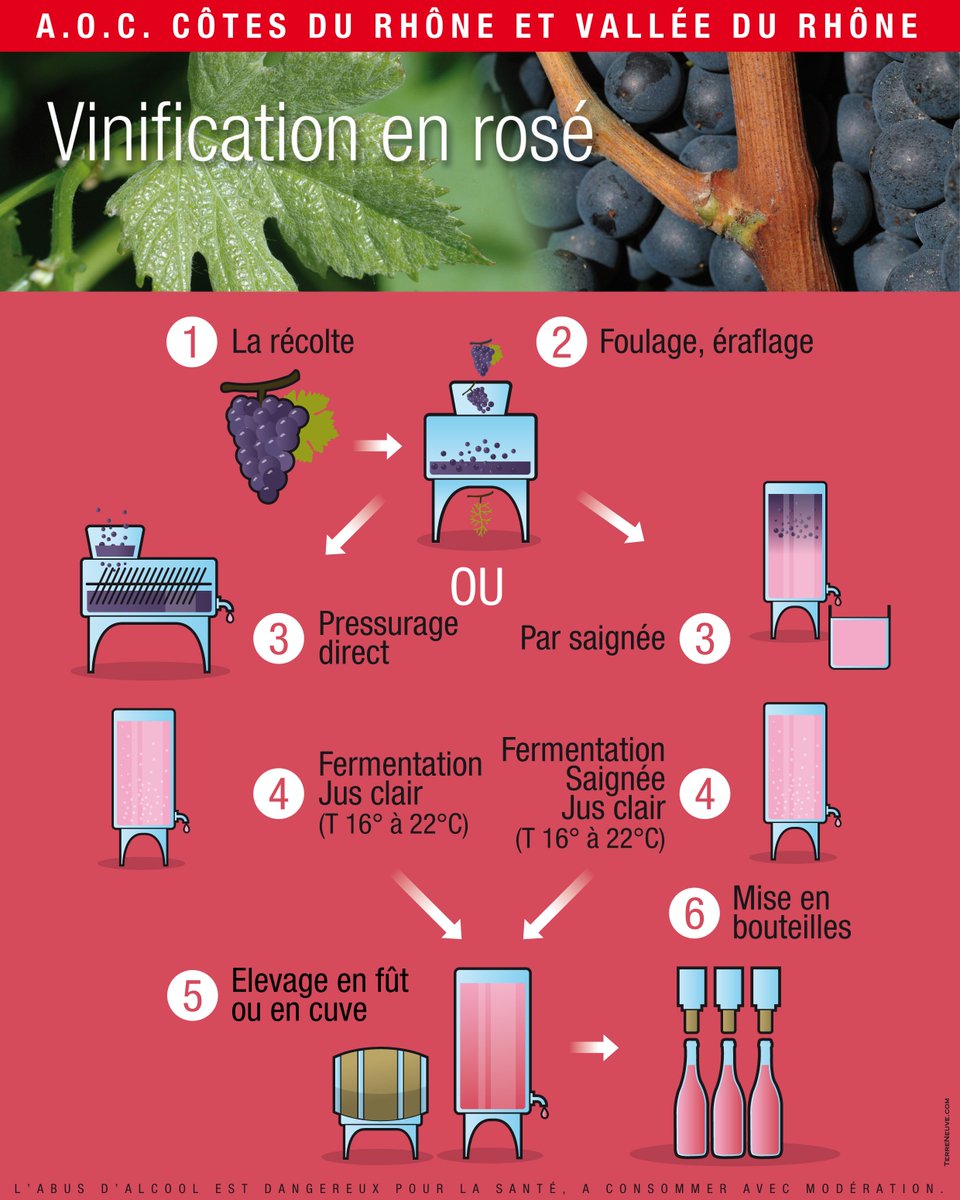 Sélections Oeno on Twitter: "Impressionnez vos convives en expliquant les étapes de vinification ...