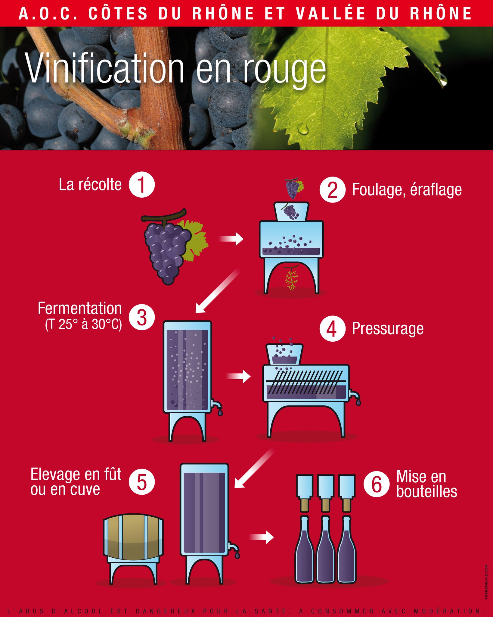 Sélections Oeno on Twitter: "Impressionnez vos convives en expliquant les étapes de vinification ...