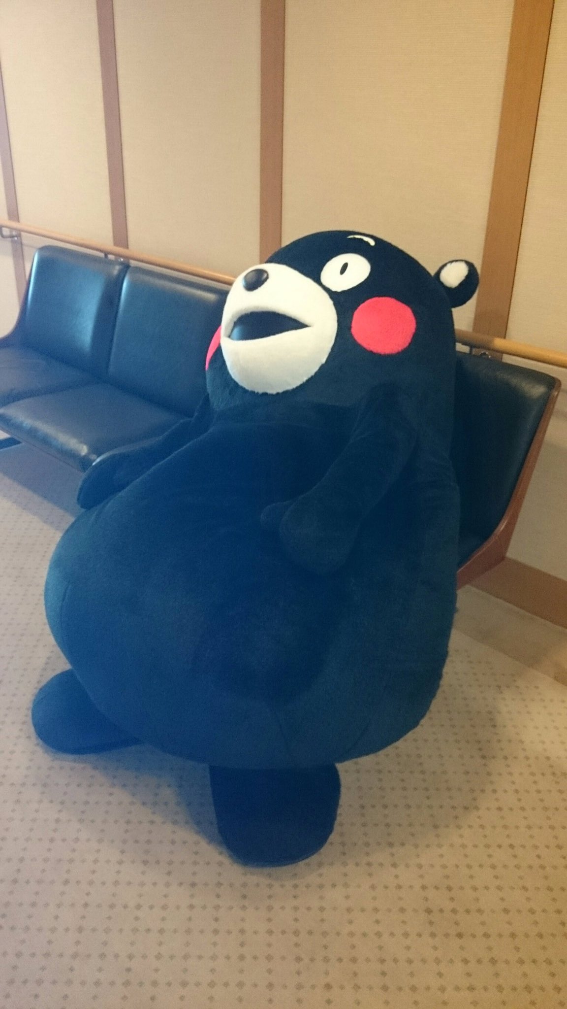 Kumamon Meme