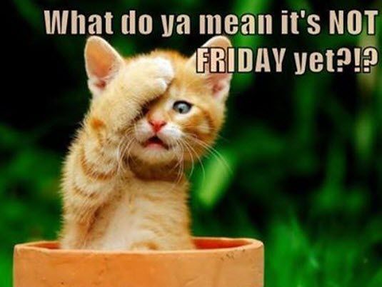 Is It Friday Yet Funny