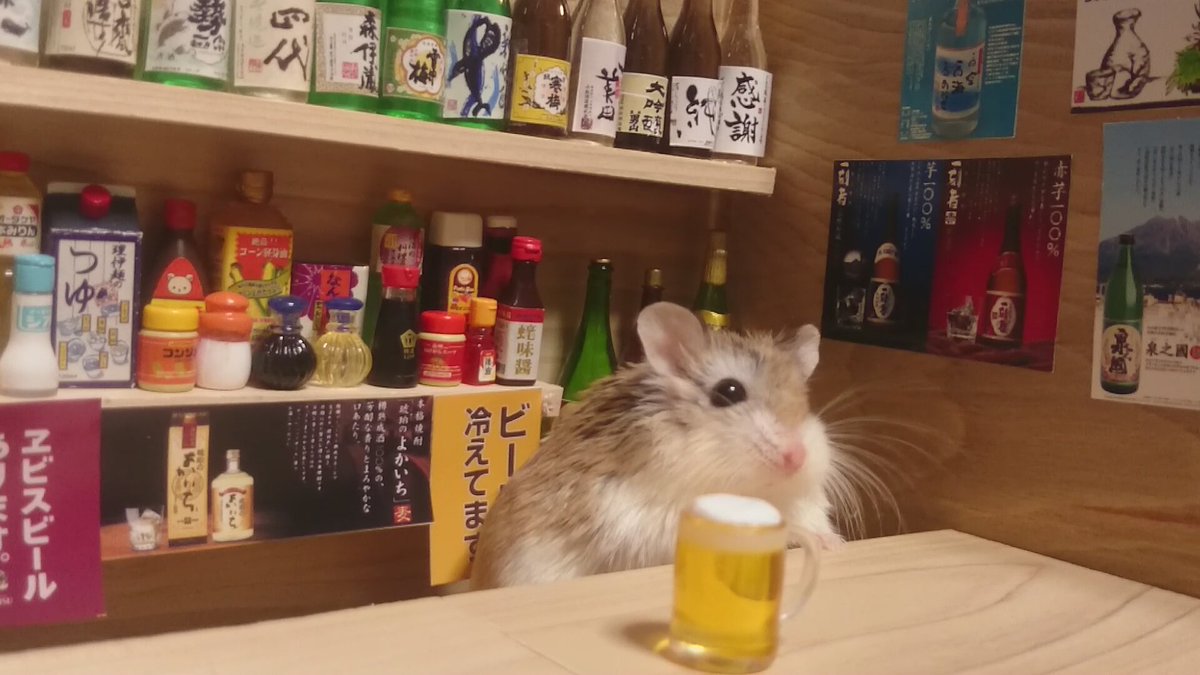 Beer Hamster