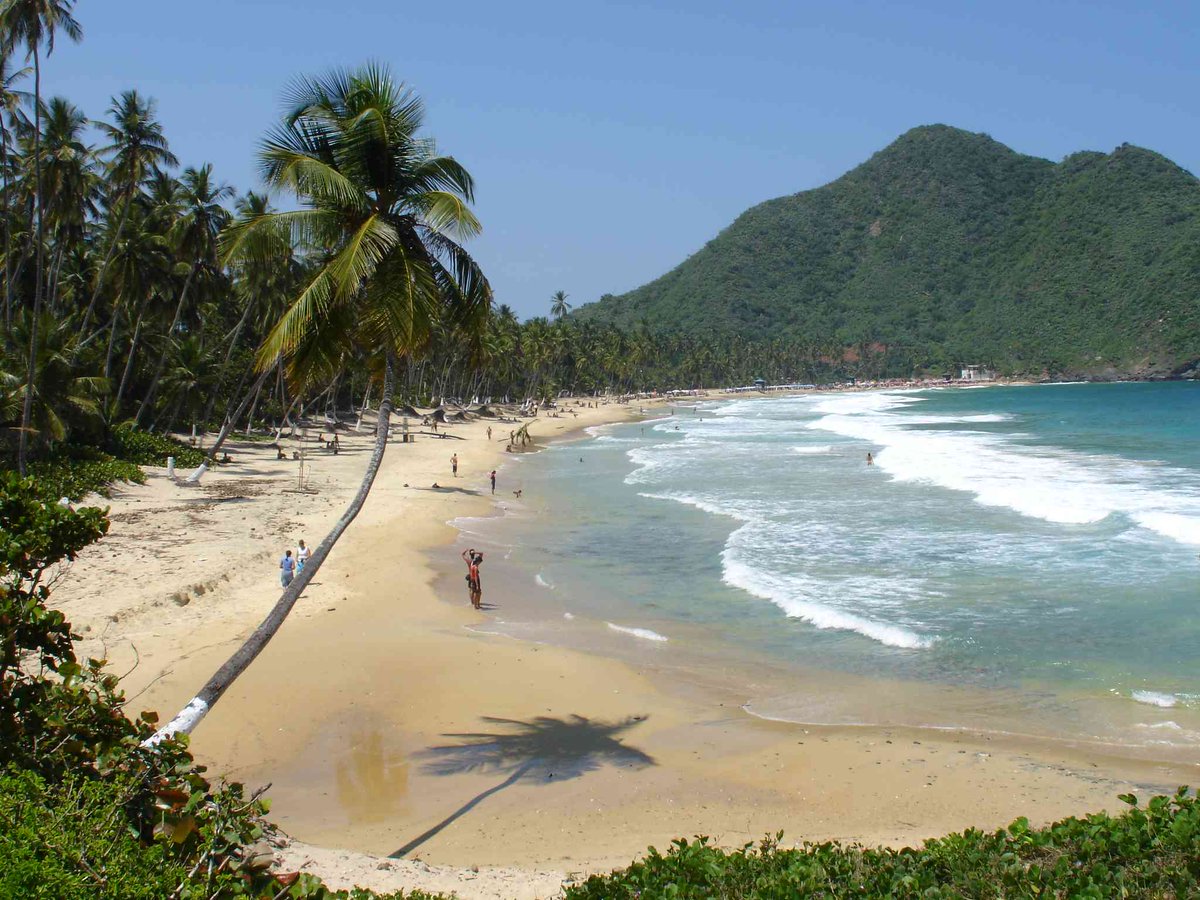 Cacaoni Lodge, un lugar de ensueño en Choroní - | El Nacional | Scoopnest