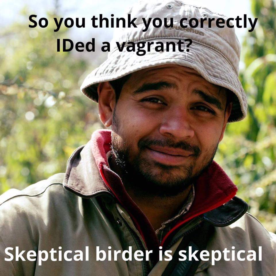 Jokes Only a Zoochatter Would Understand - Page 8 - ZooChat