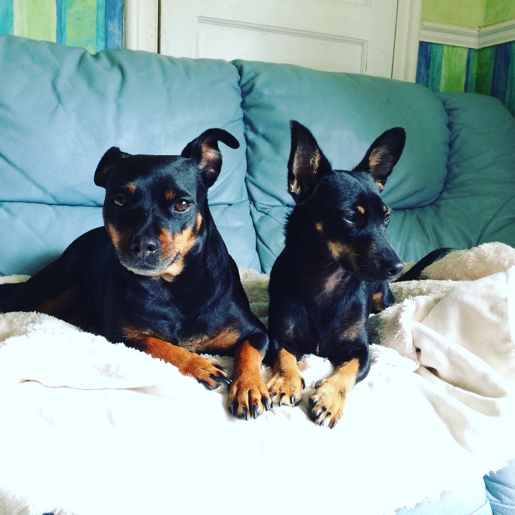 TW Pornstars - Catherine Duck BSc MBPsS. Twitter. 8:00 AM - 17 Sep 2016