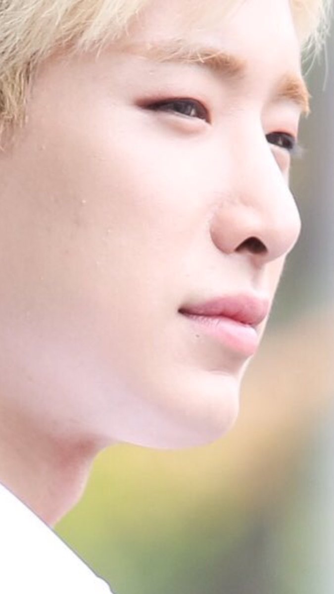 Lip Piercing Scar