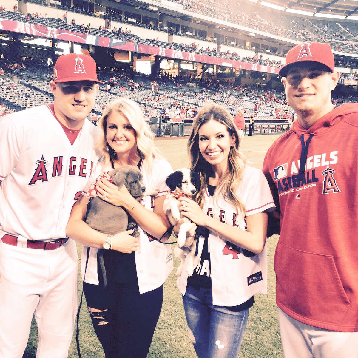 Mike Trout Wife