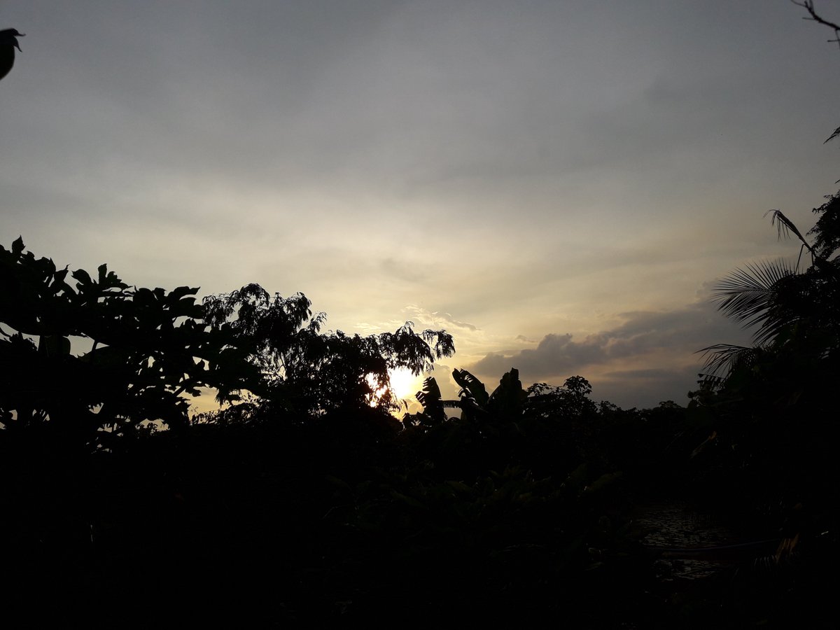 FawPatcha (@patcharee_za) | Twitter