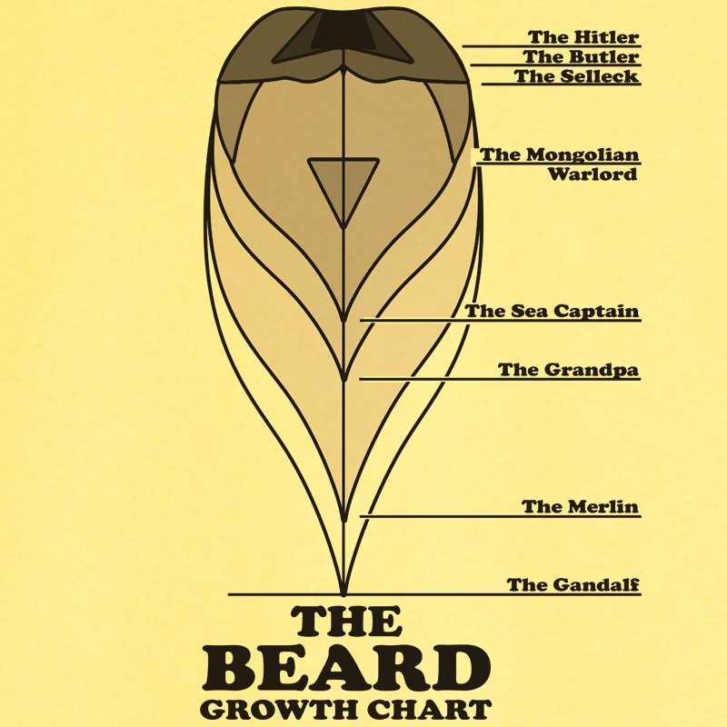 Beard Growth Chart