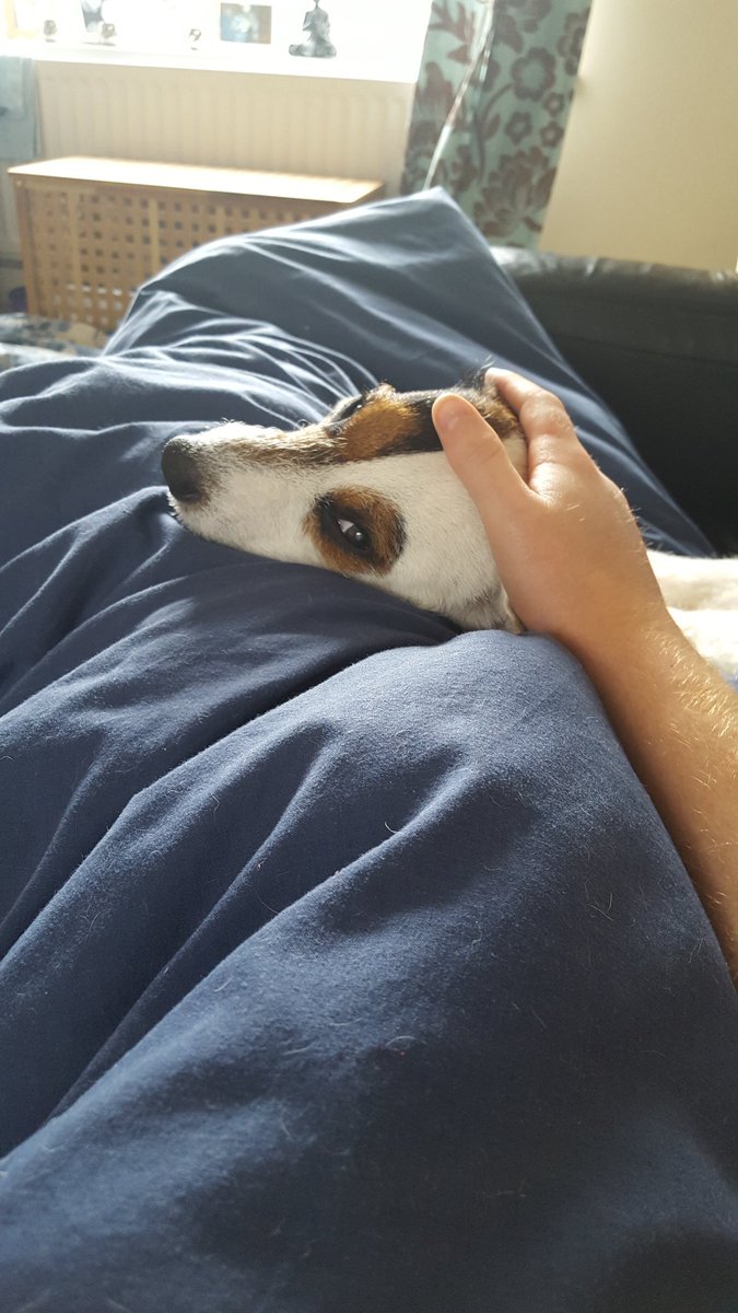 Ryan Roper (@ryanroper72) | Twitter