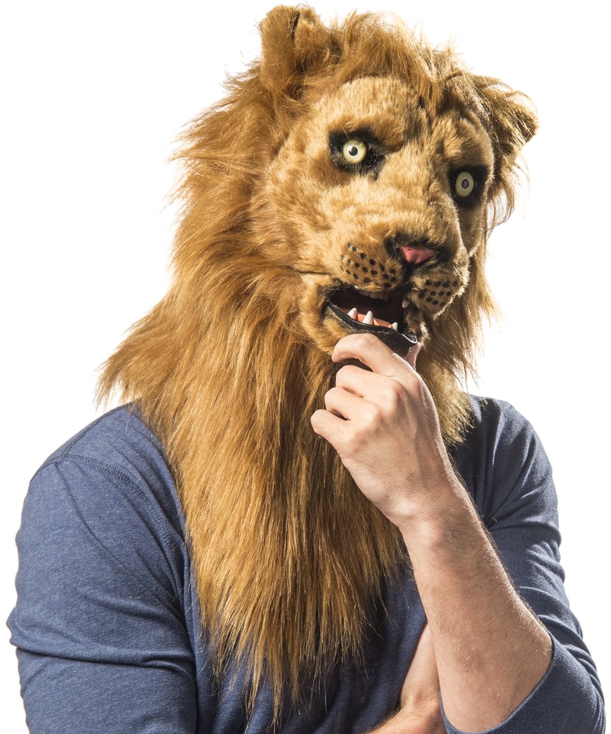 Lion With Scary Two Lions Talk As A Lion Tamer Shakes A Chair Canvas