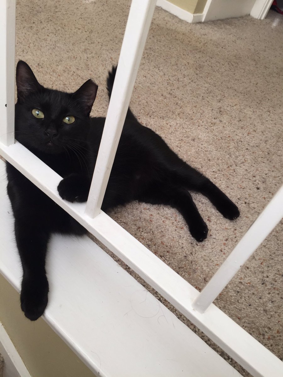 ブライアン (@Papi_Flacko) | Twitter