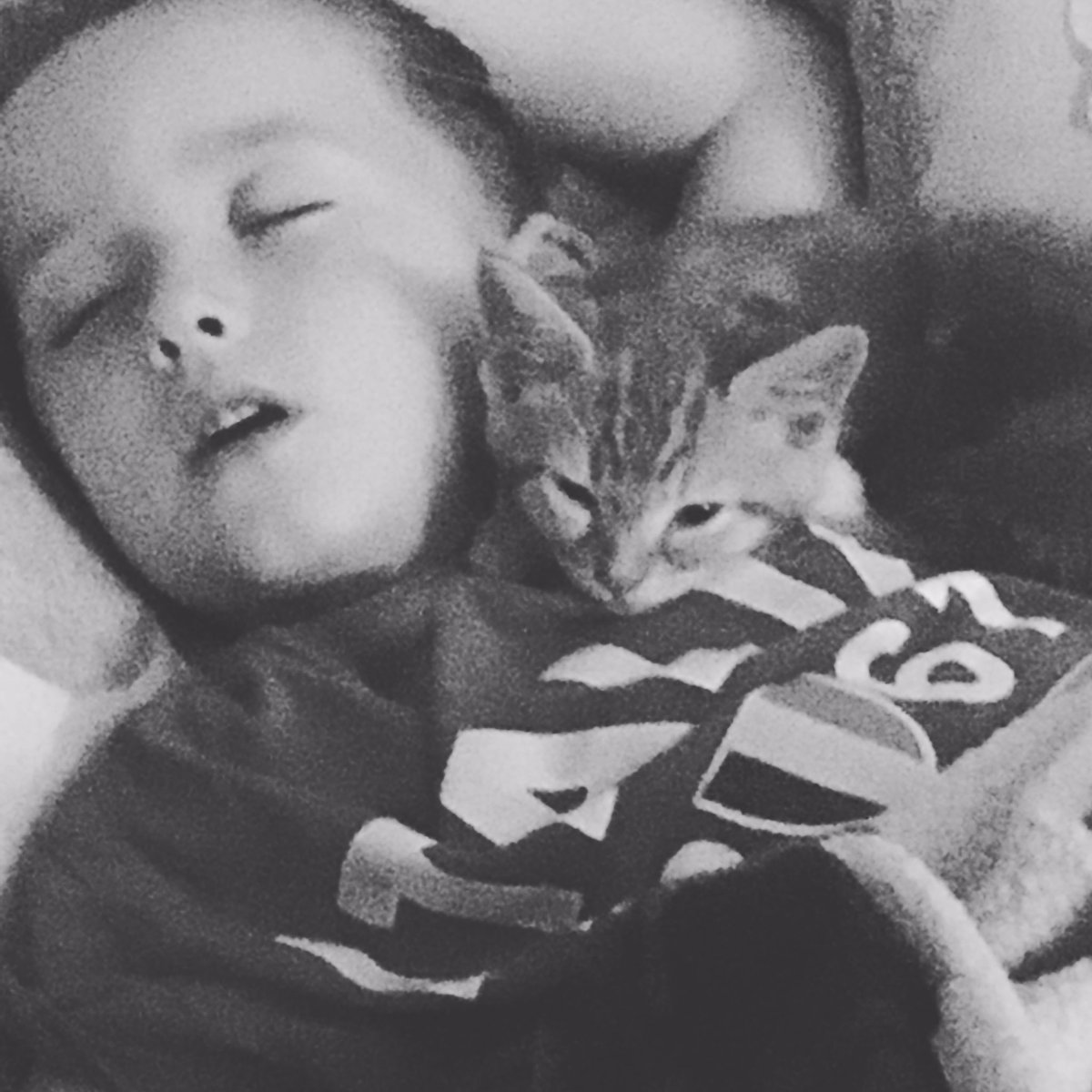jennifer willan (@jenny_willan) | Twitter jennifer willan (@jenny_willan) | Twitter