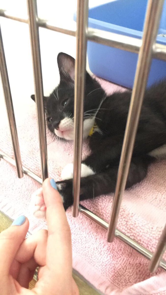 Noah Peloquin (@DareDefiantly) | Twitter