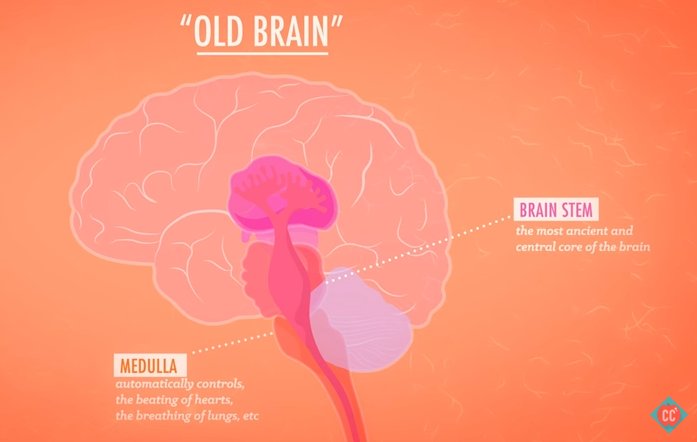 AP Psychology Review on Twitter: ""Meet Your Master: Getting to Know ...