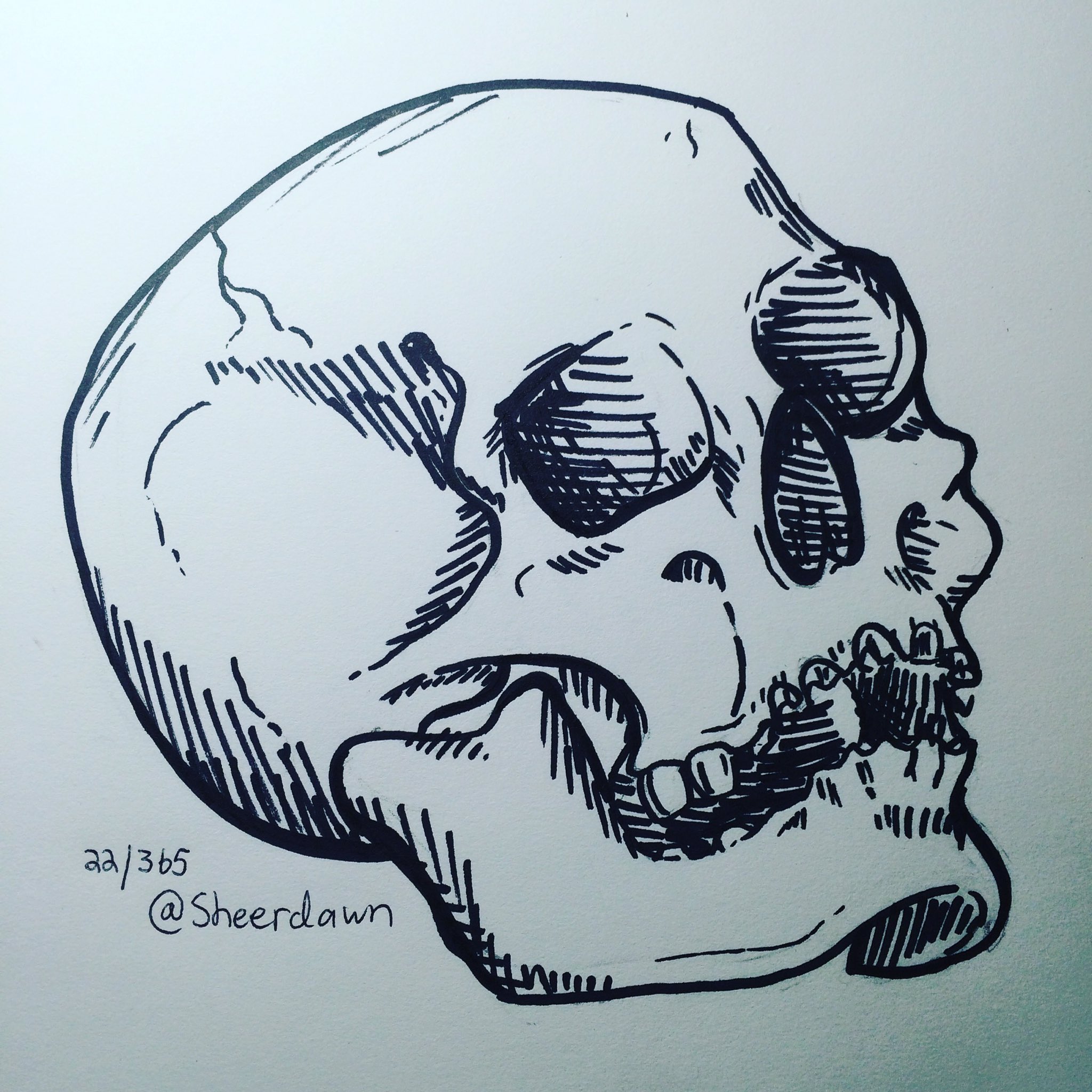 Sharpie Skull Drawings