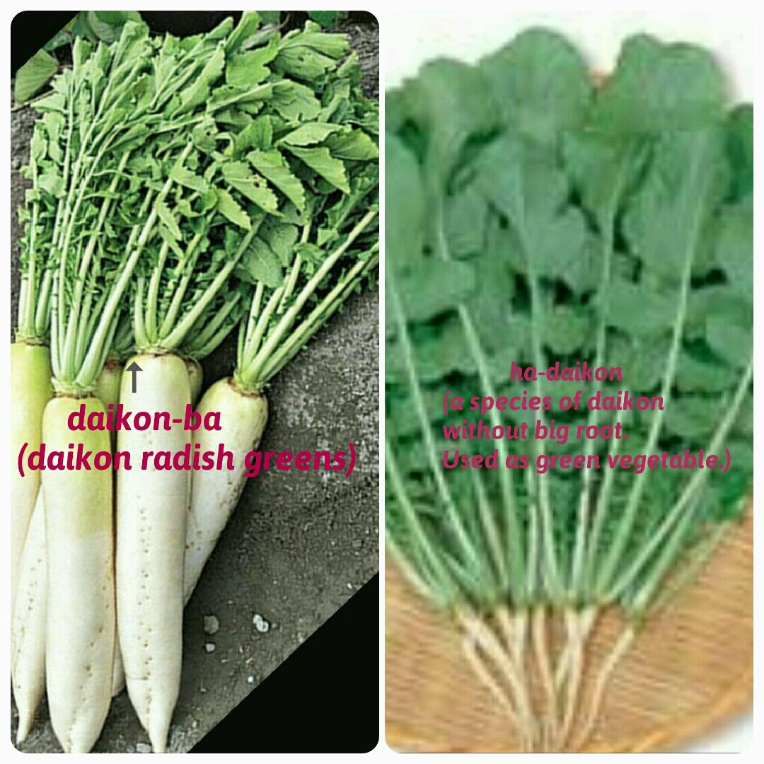 2016/10/01- 10/10 #twhz 21h(JST)/ English (9ページ目) - Togetter