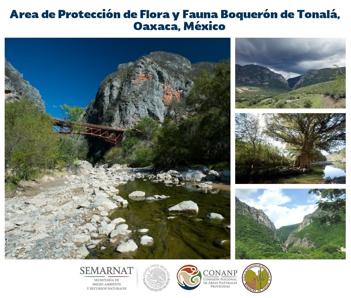 El Área de protección de flora y fauna boquerón de tonalá, en #oaxaca ...
