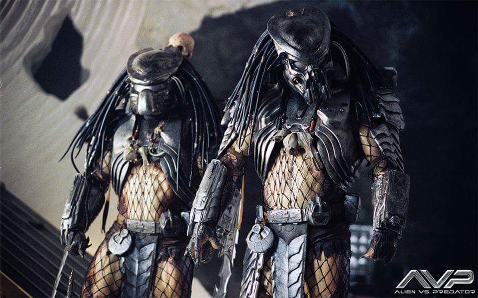 Best ever Predator pic/pic of Predator? - Page 281