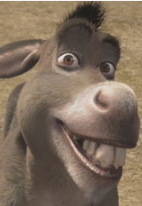Shrek Donkey Quotes Pick Me