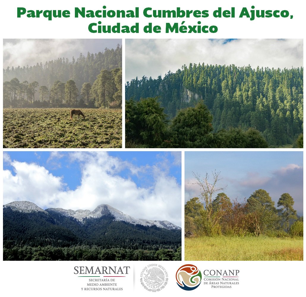 El Parque Nacional Cumbres del Ajusco, en la CDMX, celebra su 80 ...