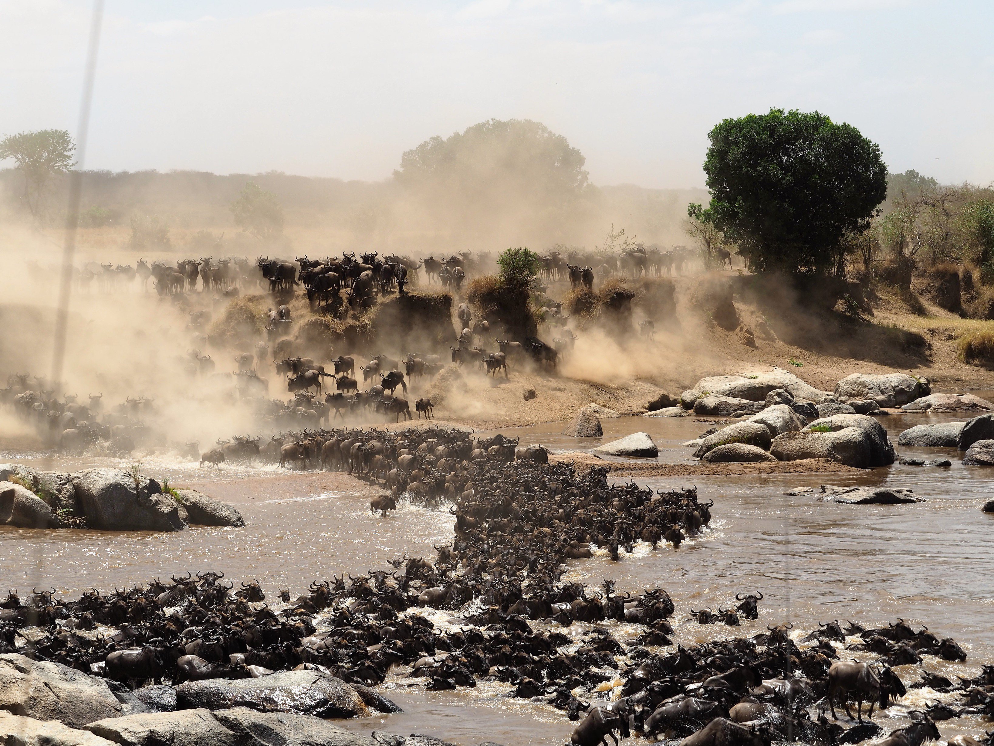 mildbynature (@mbn_band) / Twitter