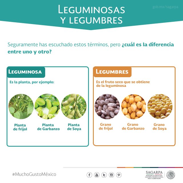 Leguminosas Lista