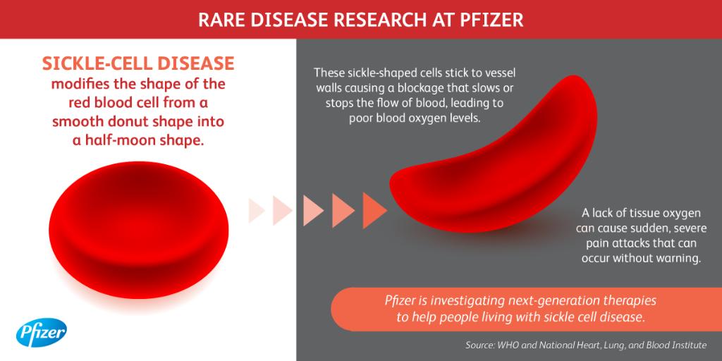 Normal Red Blood Cells