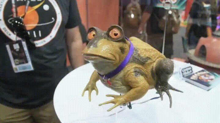 Real Life Toad