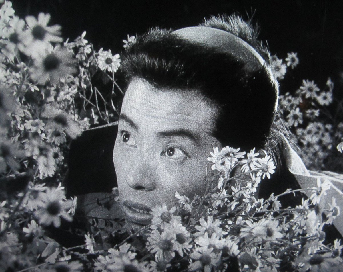 Seven Samurai – Film 1 Midterm 20F