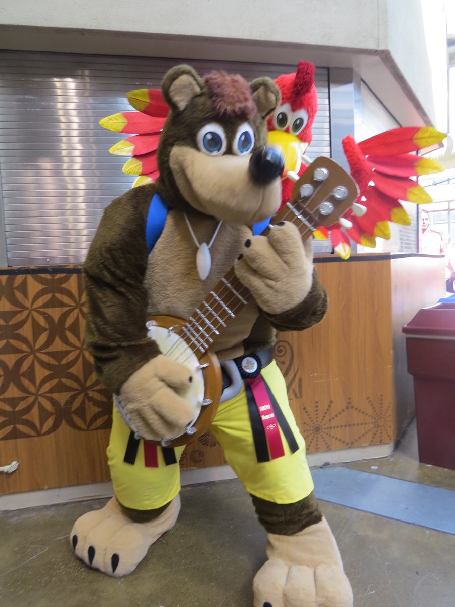 Banjo Kazooie Costume